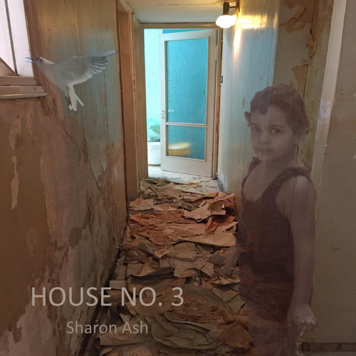 ‎House No. 3 - Album by Sharon Ash - Apple Music