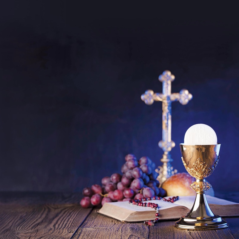 Blessed Are You - Daily TV Mass: Song Lyrics, Music Videos & Concerts