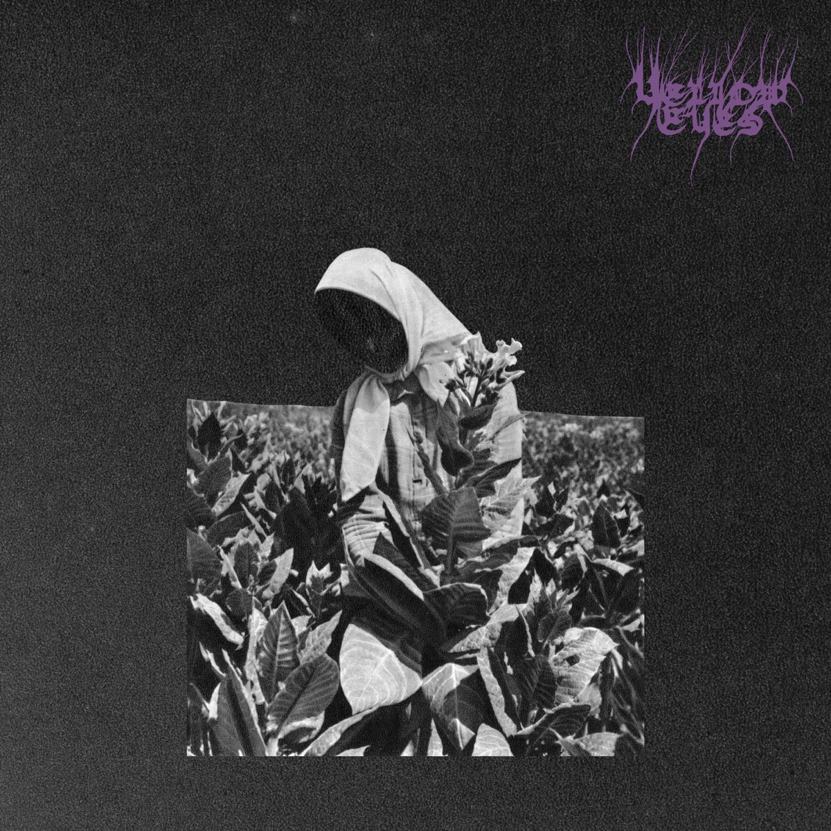 ‎Master's Murmur - Album by Yellow Eyes - Apple Music