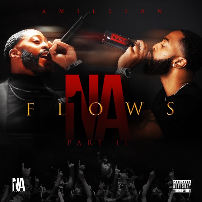 1NA Flows 2 Thank You (Poem) - Amillion the Poet: Song Lyrics, Music Videos & Concerts
