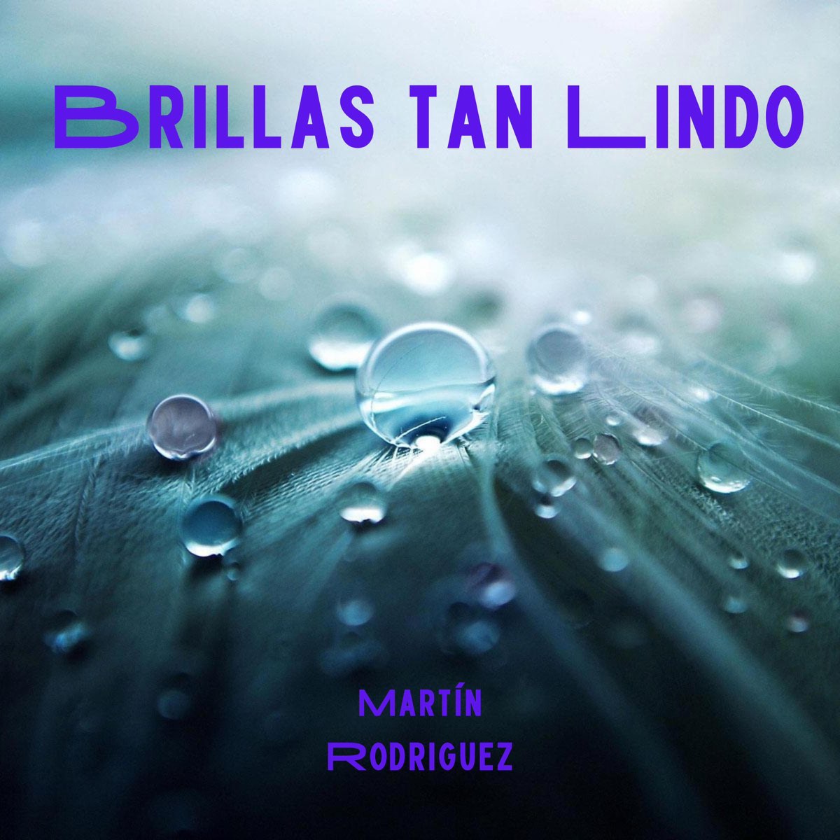‎Brillas Tan Lindo - Single - Martin Rodriguezのアルバム - Apple Music