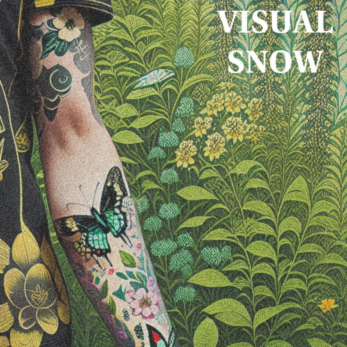 ‎Meraki - Album by Visual Snow - Apple Music