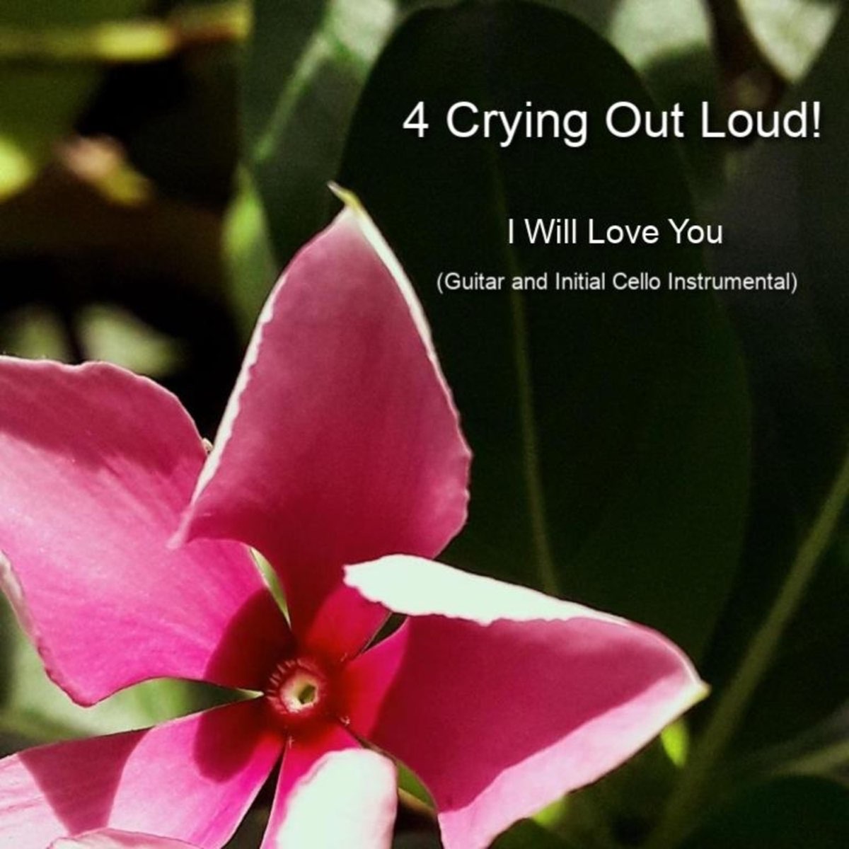 ‎I Will Love You (Guitar and Initial Cello Instrumental) - Single by 4 ...