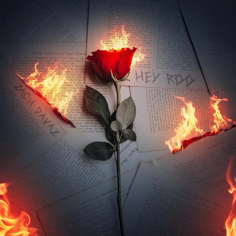 Hey Roo - zach davaz: Song Lyrics, Music Videos & Concerts