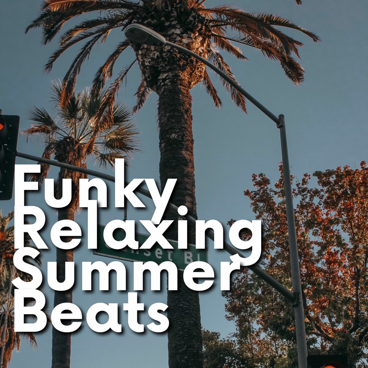 ‎Funky Relaxing Summer Beats - Album by Funk Music, Instrumental Funk ...