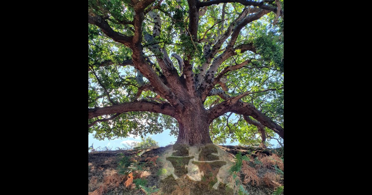 ‎Gothic Country - Single - Album by Steve Cake - Apple Music