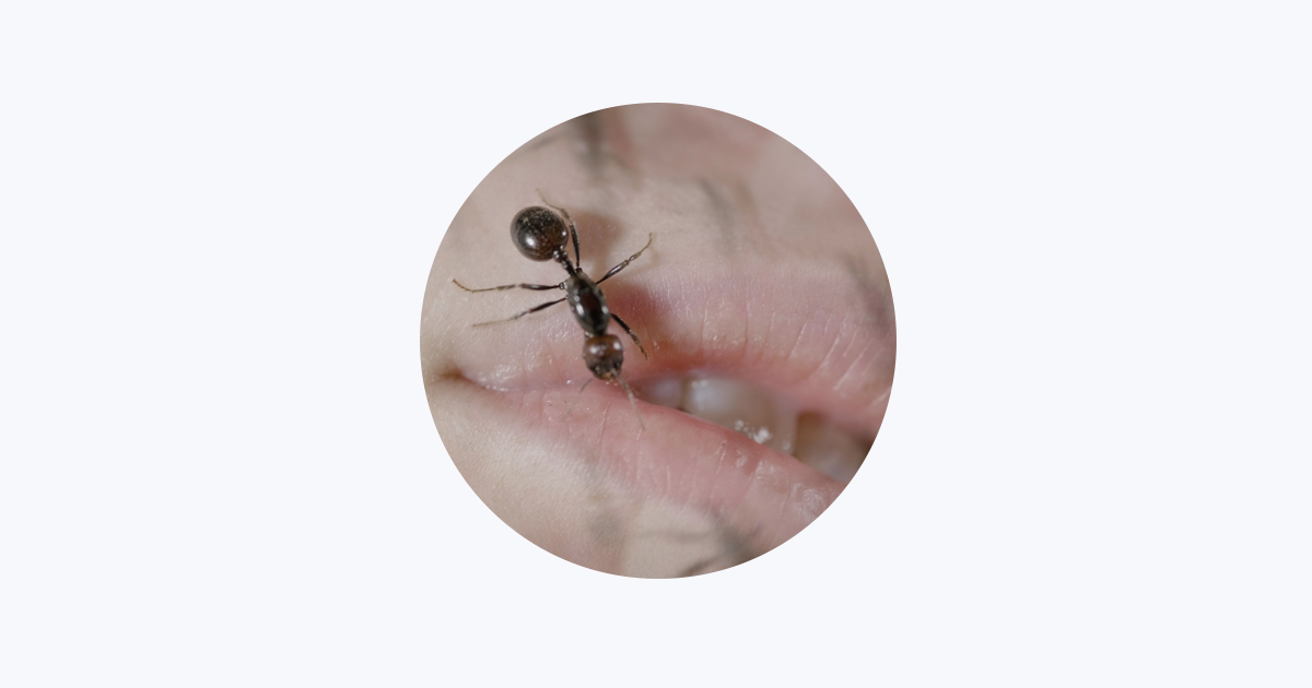 ‎Solann sur Apple Music