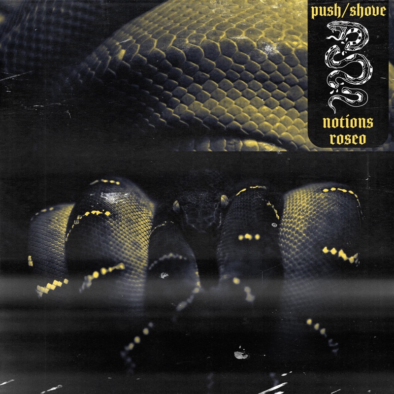 Push / Shove - Notions & Roseo: Song Lyrics, Music Videos & Concerts