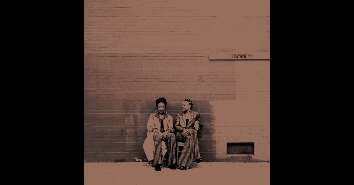 ‎Leather Blvd. - Album by B. Cool-Aid, Pink Siifu & Ahwlee - Apple Music