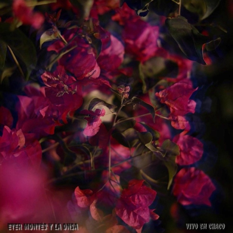 Diente de León (En vivo) - Eter Montés & La Onsa: Song Lyrics, Music ...