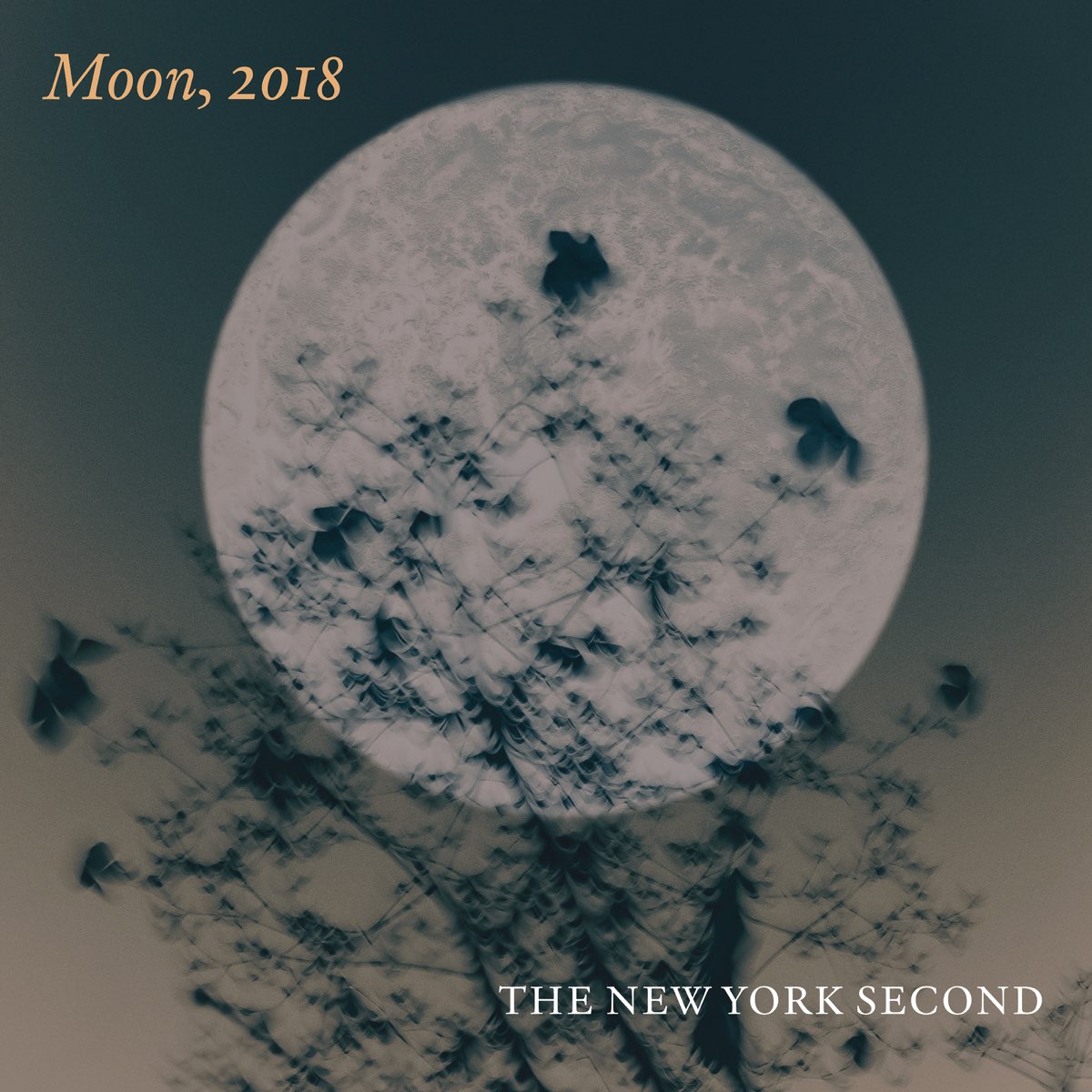 Moon, 2018 (with Harald Walkate, Max Sergeant & Lorenzo Buffa ... Moon, 2018 (with Harald Walkate, Max Sergeant & Lorenzo Buffa ...
