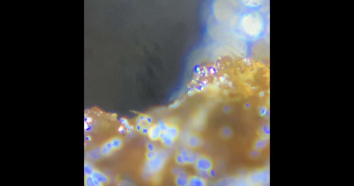 ‎Seizeri – Album von Emme the 3rd – Apple Music