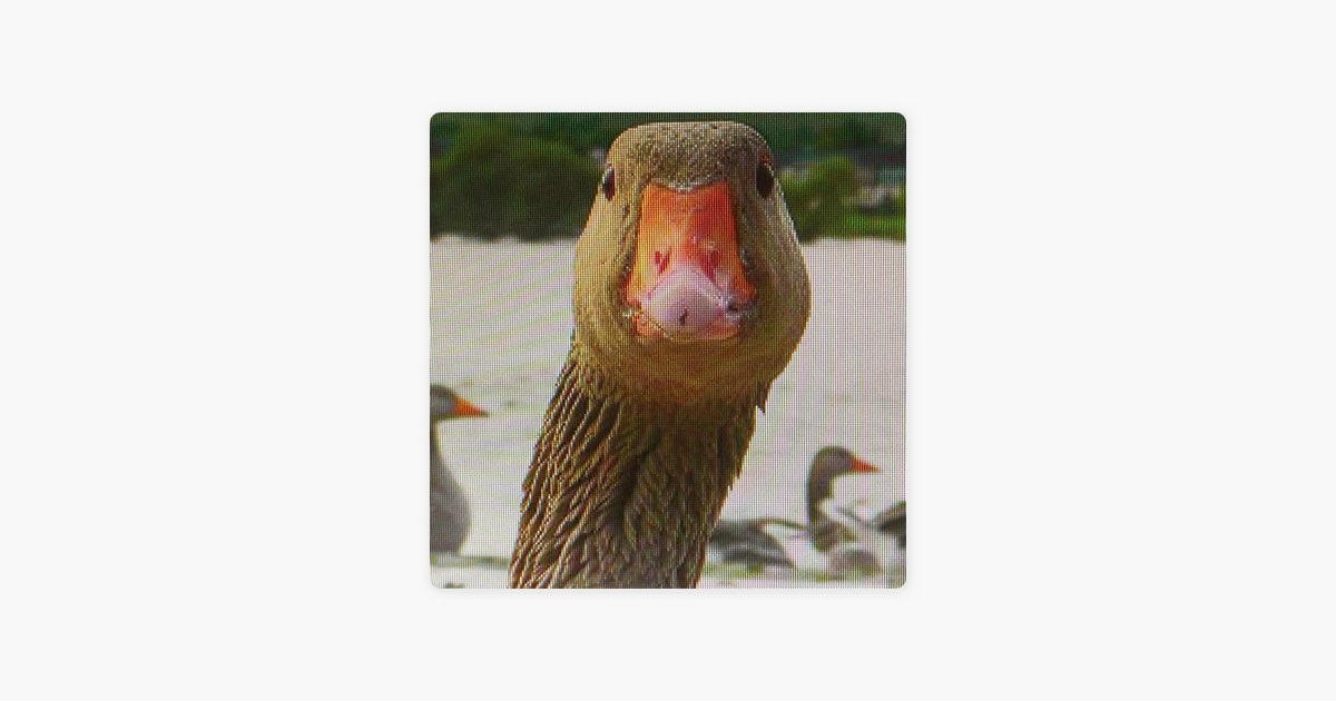 ‎DuckDuckGo - Canción de AA Beatzz - Apple Music
