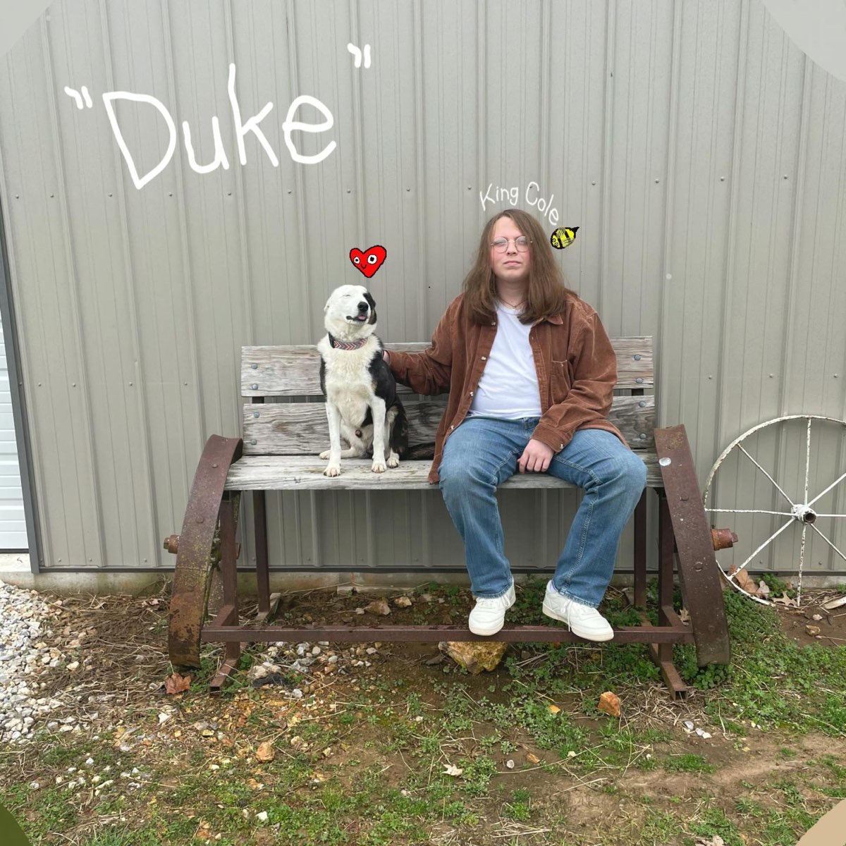 ‎Duke - Album by King Cole - Apple Music