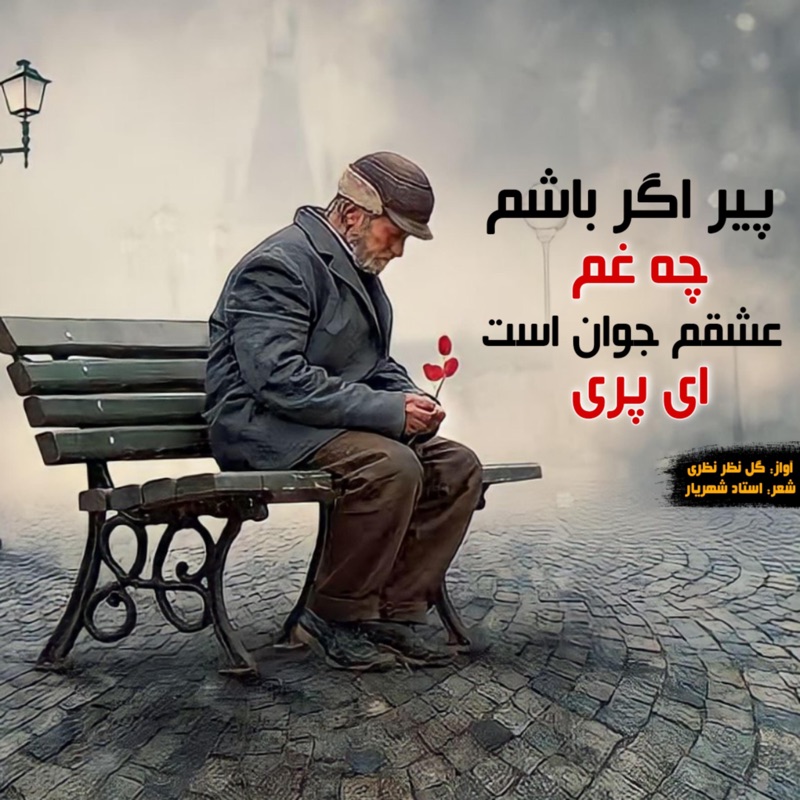 پیر اگر باشم چه غم عشقم جوان است ای پری - Gulnazar Nazari: Song Lyrics, Music Videos & Concerts