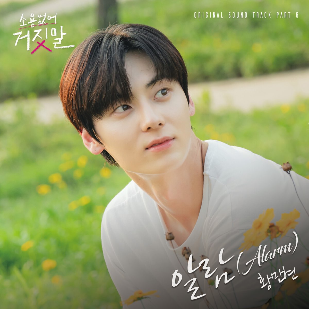my Lovely Liar Pt 6 Original Television Soundtrack Single