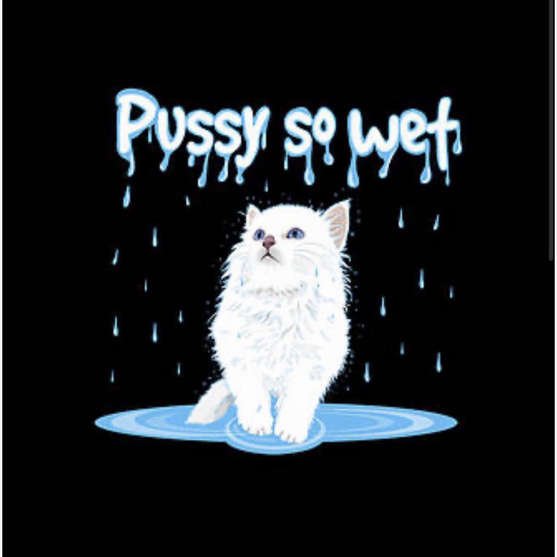 Pussy So Wet Subzerotocold Song Lyrics Music Videos And Concerts