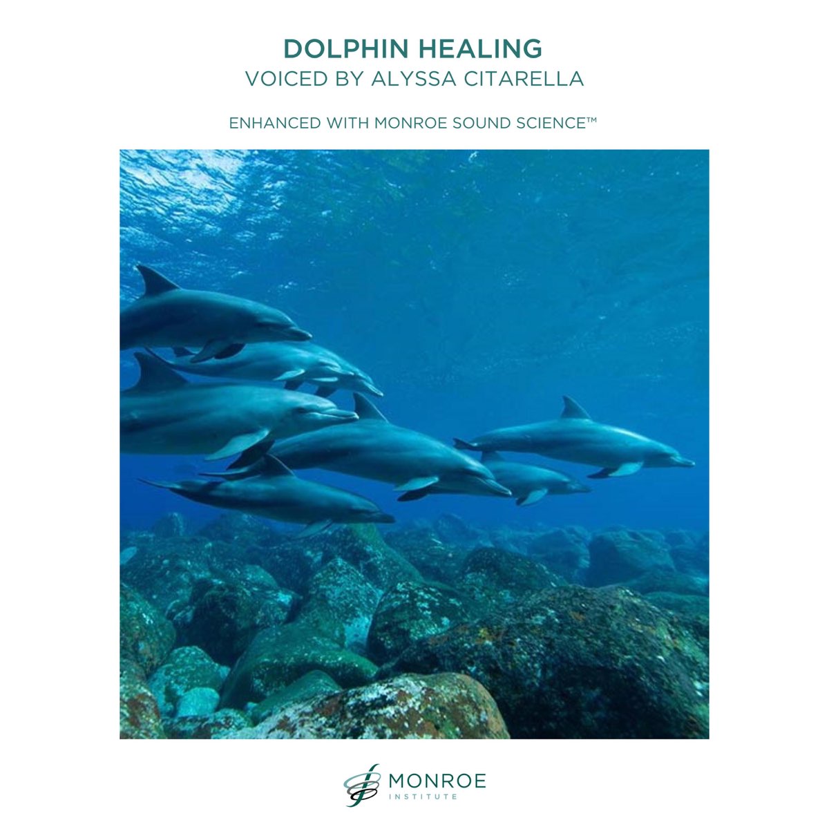 ‎Dolphin Healing - Album by Monroe Institute - Apple Music