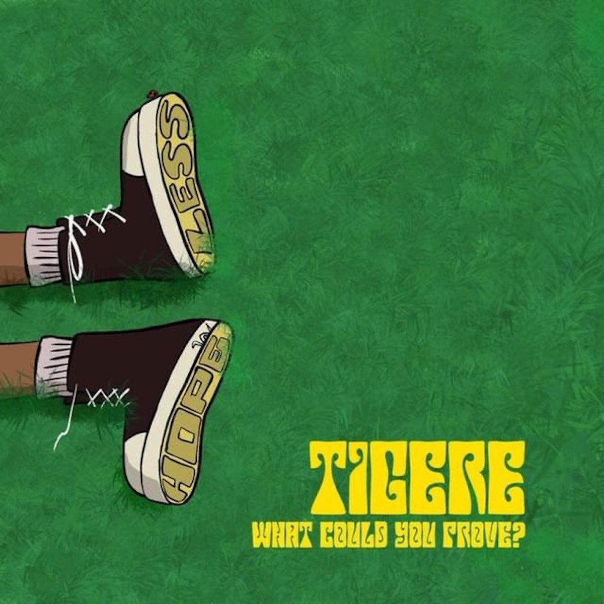 ‎What Could You Prove - Single - Album by Tigere - Apple Music