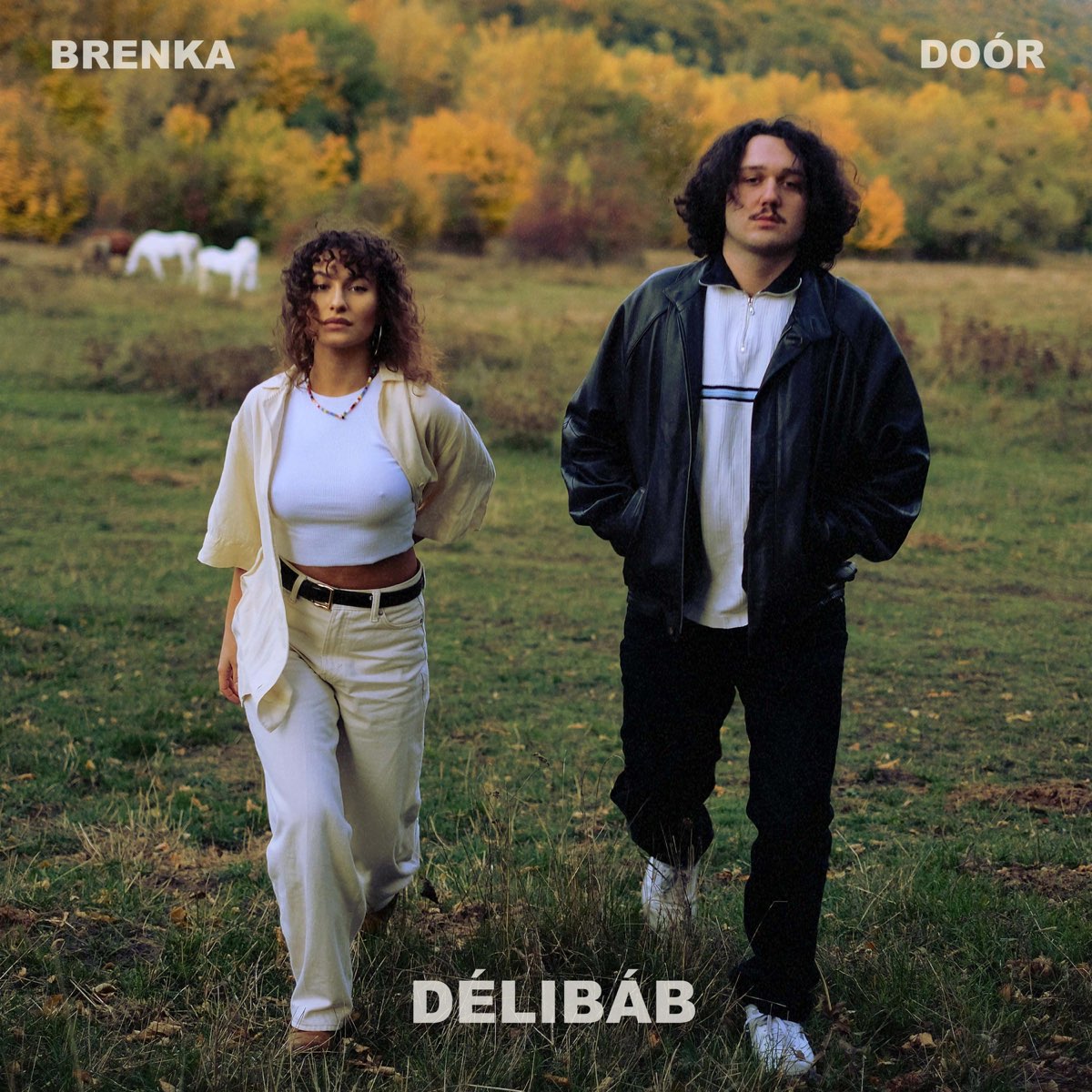 ‎Délibáb (feat. DOÓR) - Single - Album by Brenka - Apple Music