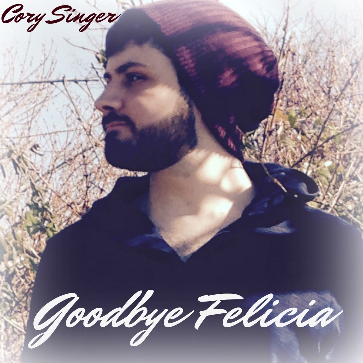 ‎Goodbye Felicia - Single - Album by Cory Singer - Apple Music