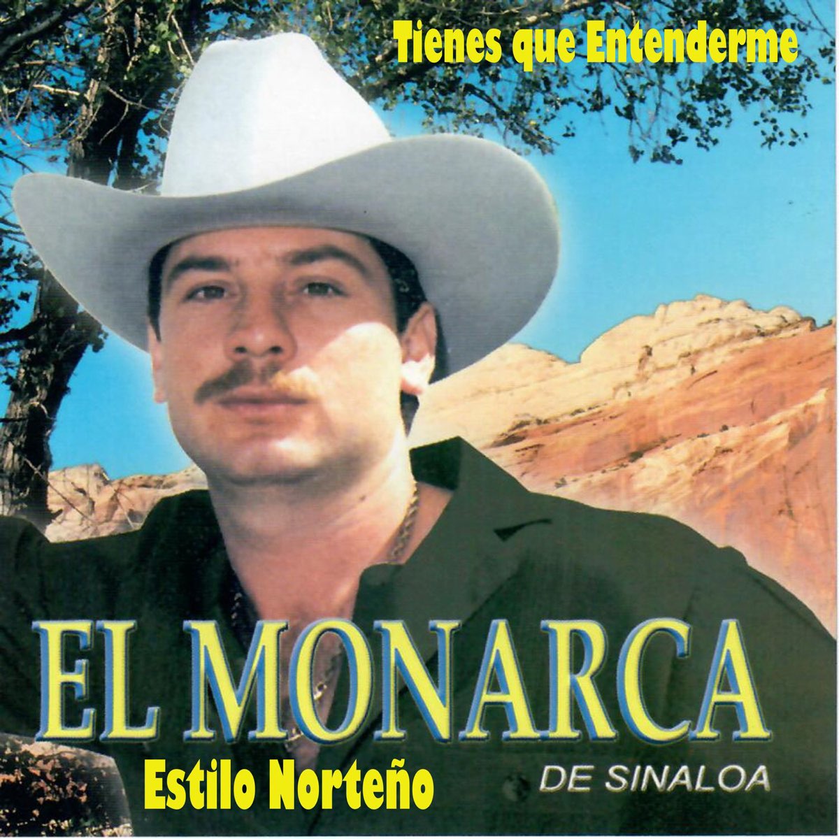 ‎Tienes Que Entenderme by El Monarca de Sinaloa on Apple Music