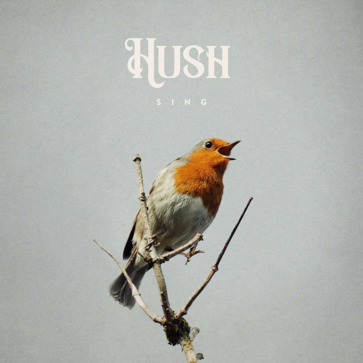 ‎Sing - Single - Album by Hush - Apple Music