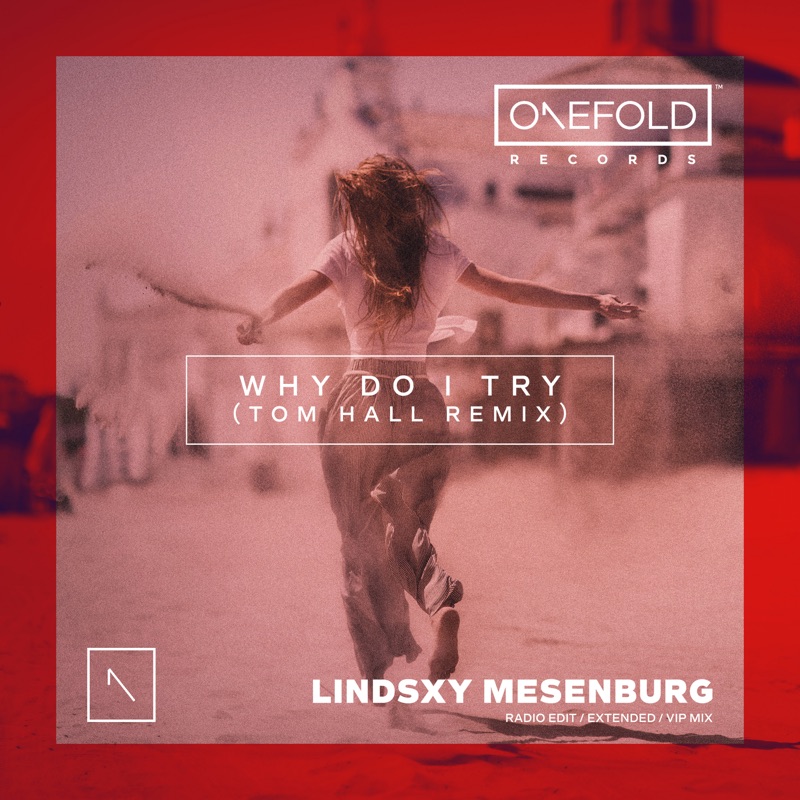 Why Do I Try (Tom Hall Organ VIP Mix) - Lindsxy Mesenburg: Song Lyrics ...