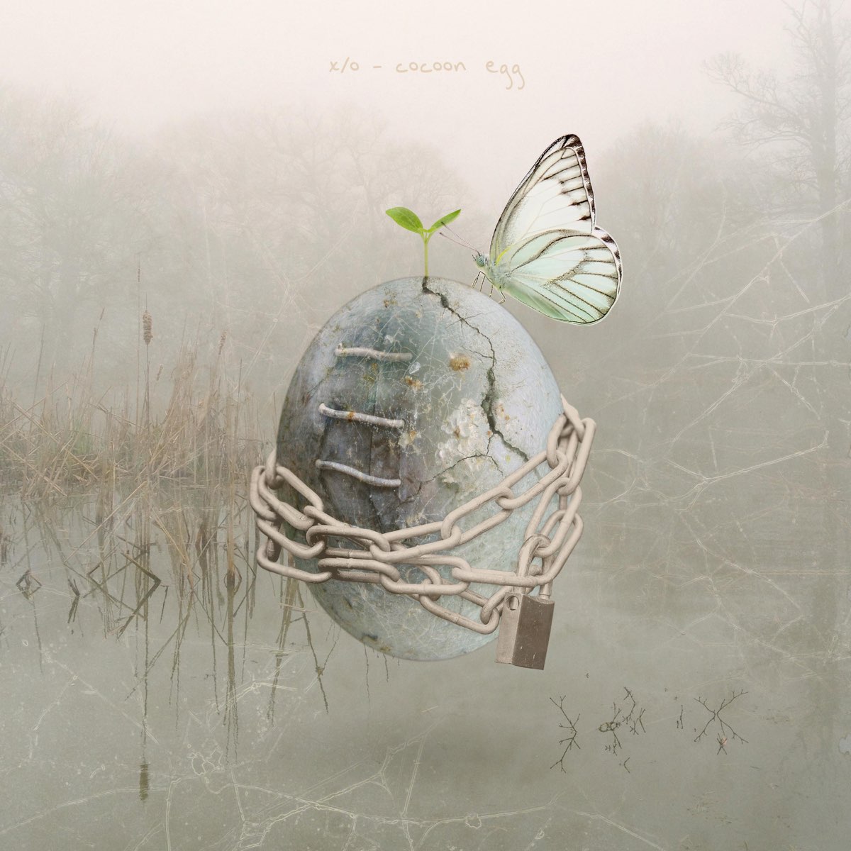 Cocoon Egg》- x/o的专辑 - Apple Music