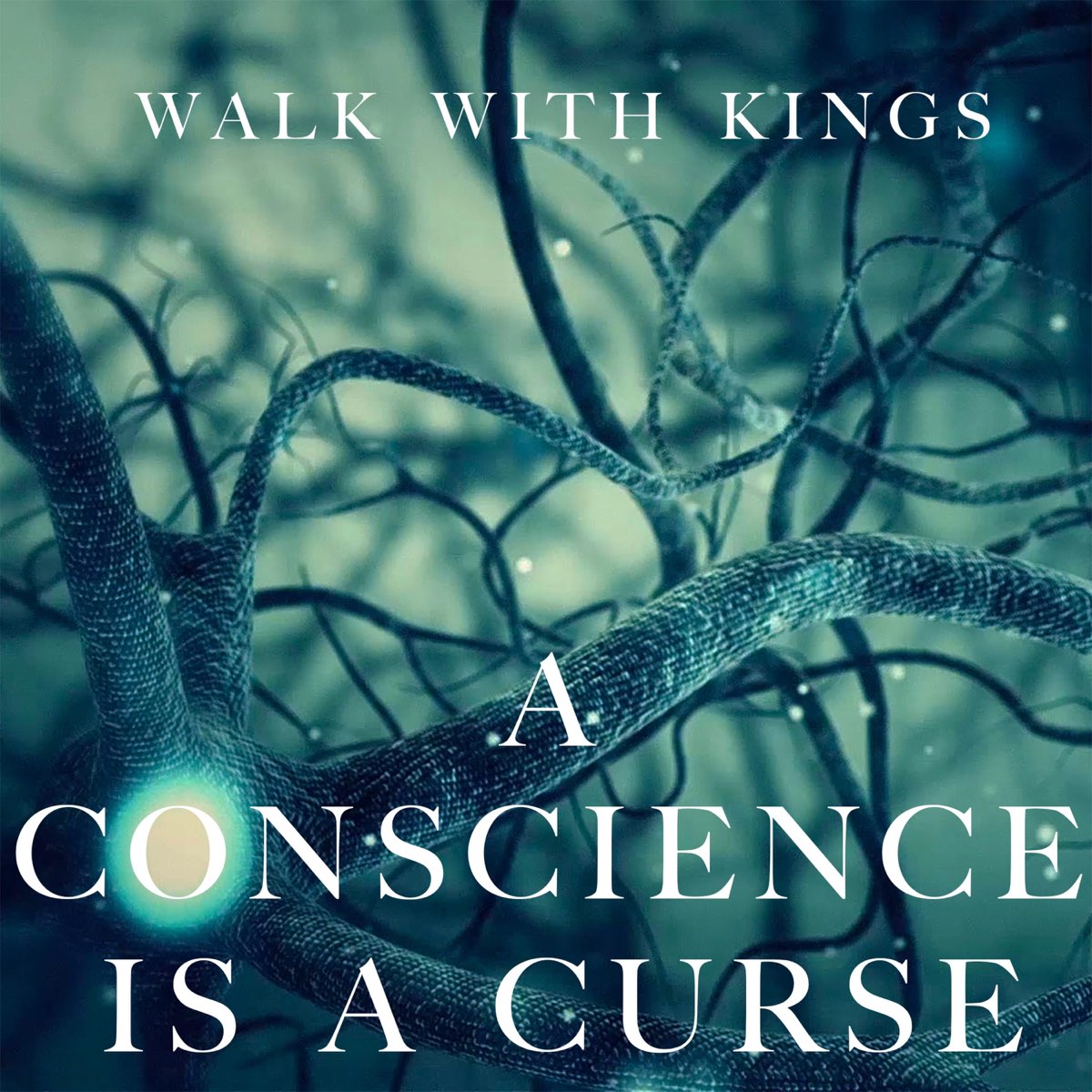 A Conscience Is a Curse - Single》- Walk with Kings的专辑 - Apple Music