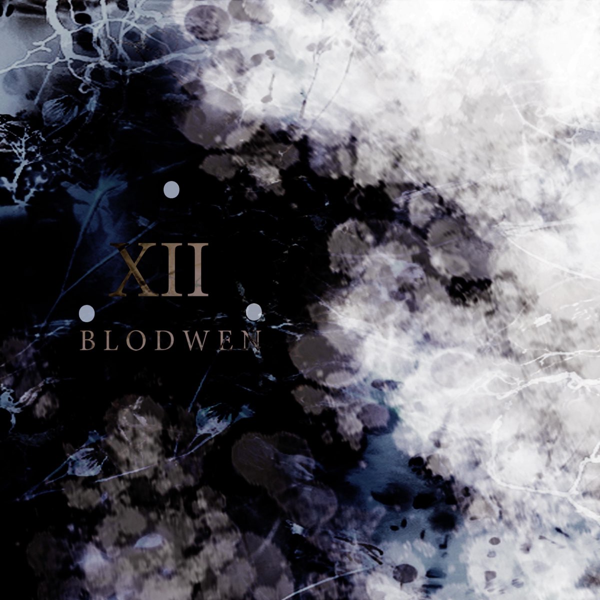 ‎XII (XII Version) - EP - Album by Blodwen - Apple Music