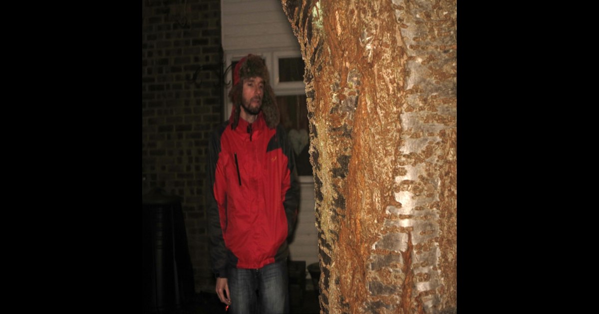 ‎Finger Bone from Swan Wing - Album by Mike Gale - Apple Music