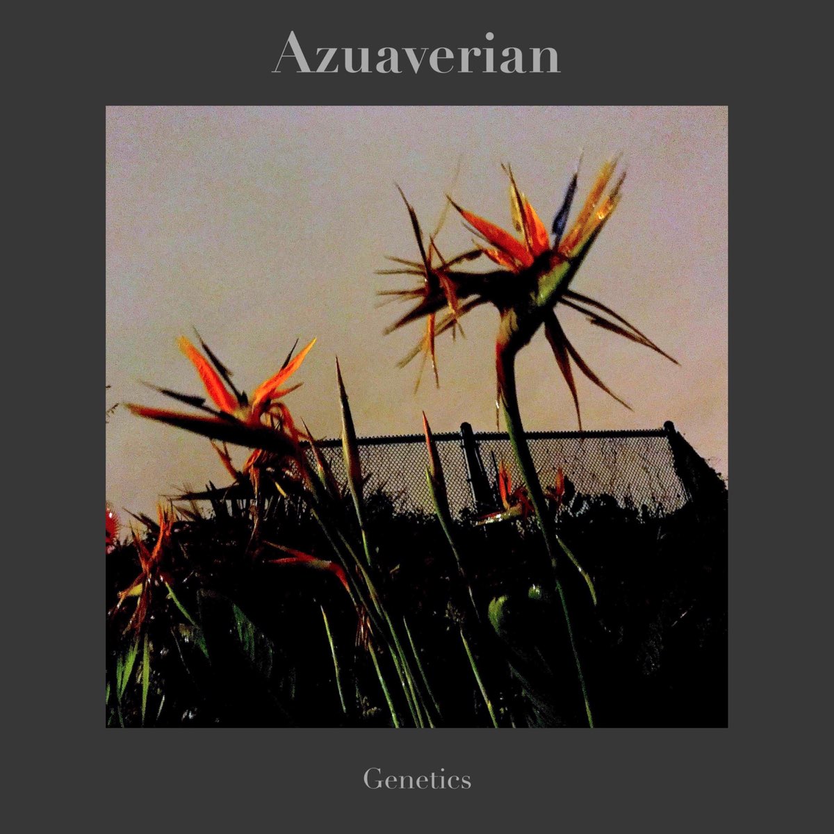 ‎Genetics — álbum de Azuaverian — Apple Music