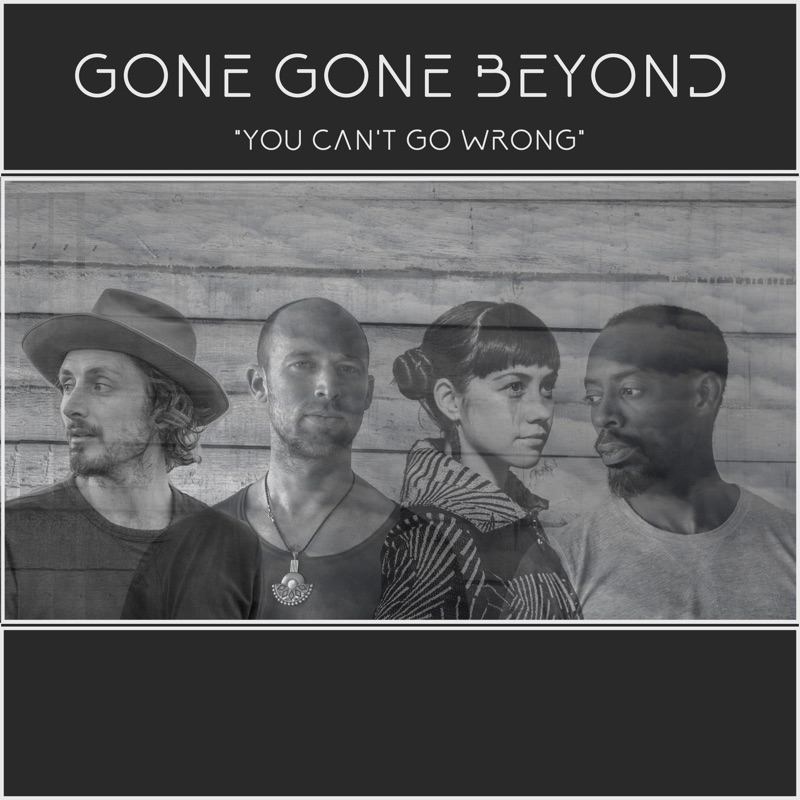 You Can't Go Wrong - Gone Gone Beyond, Kat Factor & The Human ...