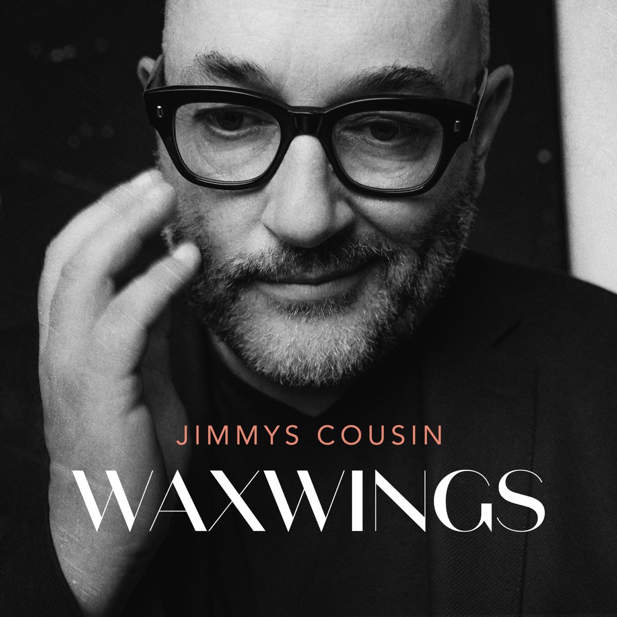 Waxwings》- Jimmy's Cousin的专辑 - Apple Music
