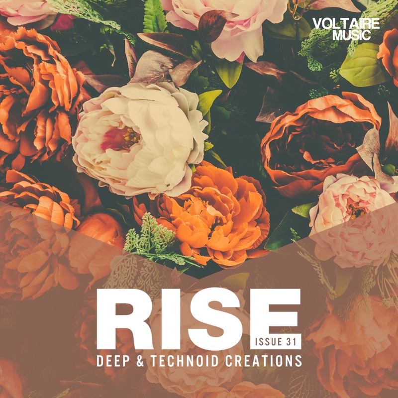Rigatoni (DJ Dep Remix) - Toni Varga & Richard Cleber: Song Lyrics ...