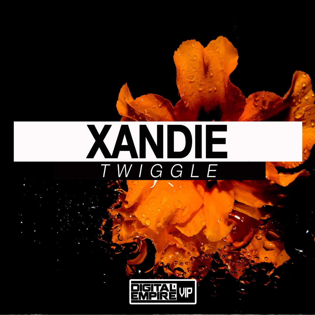 ‎Twiggle - Single - Album by Xandie - Apple Music