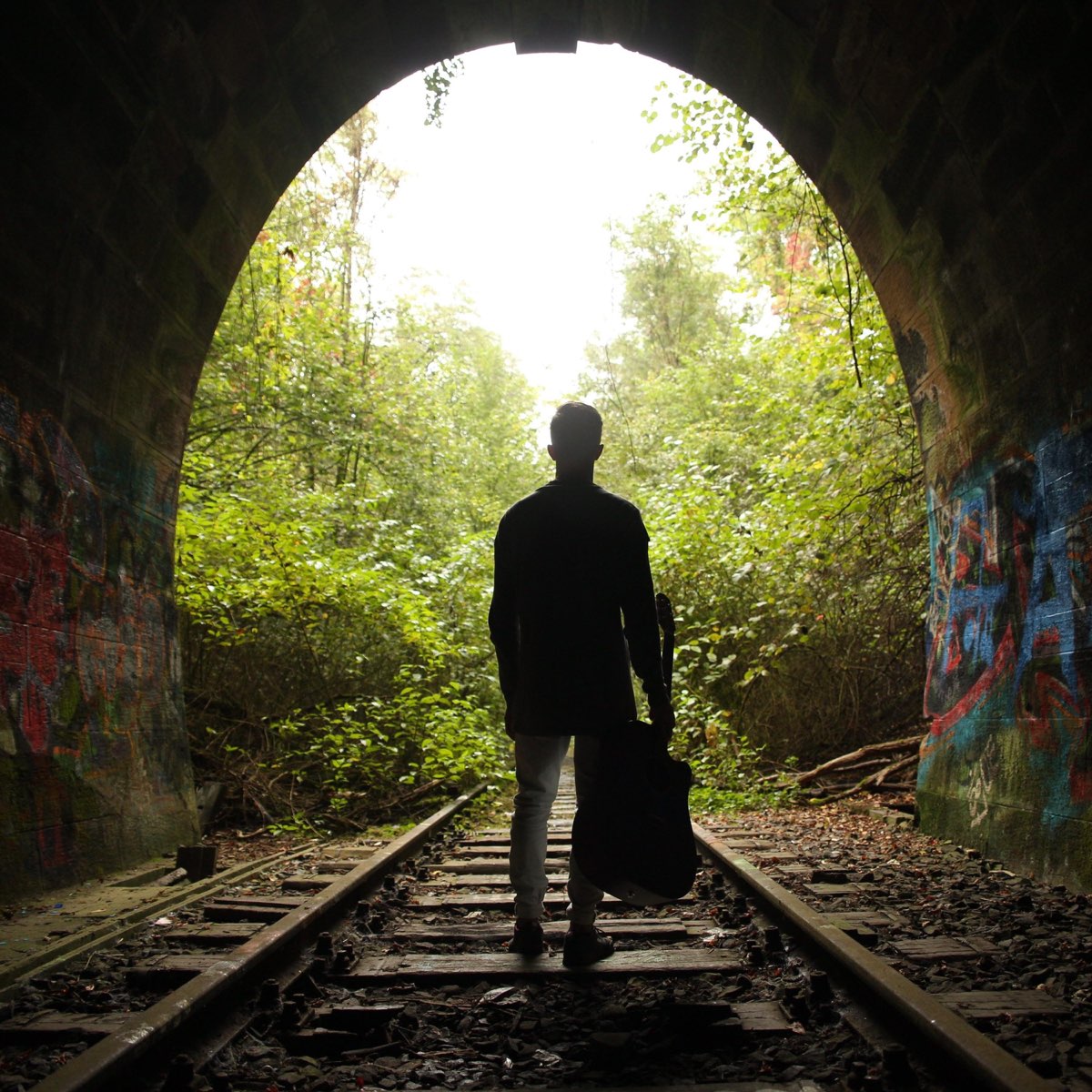 ‎Fingerstyle Guitar - Album by Leon Alex - Apple Music