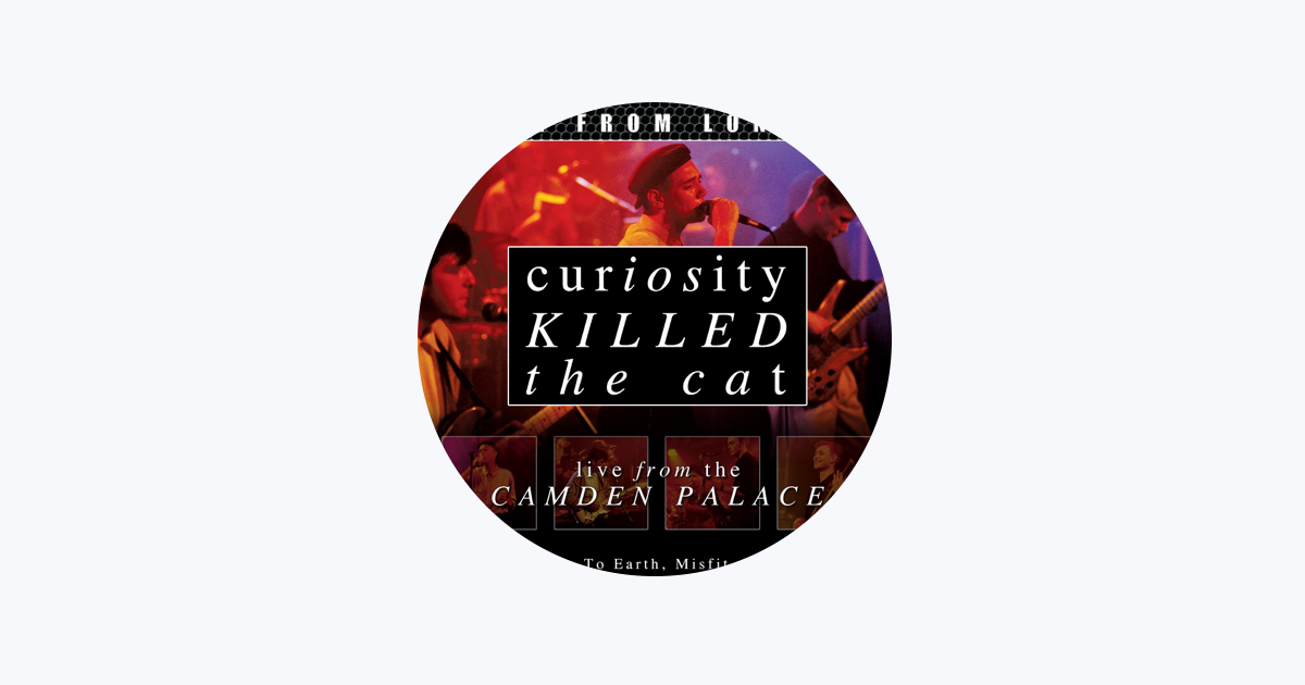 ‎Curiosity Killed the Cat - Apple Music