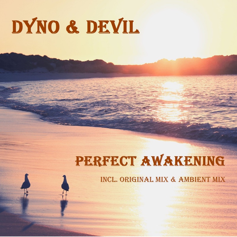 Perfect Awakening (Ambient Mix) - Dyno & Devil: Song Lyrics, Music ...