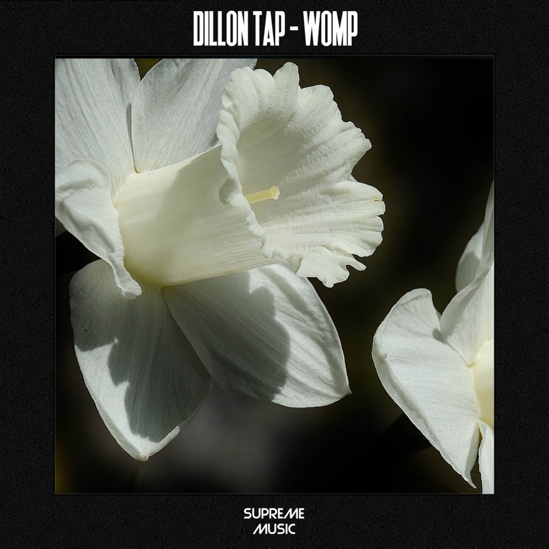 Womp - Dillon Tap: Song Lyrics, Music Videos & Concerts