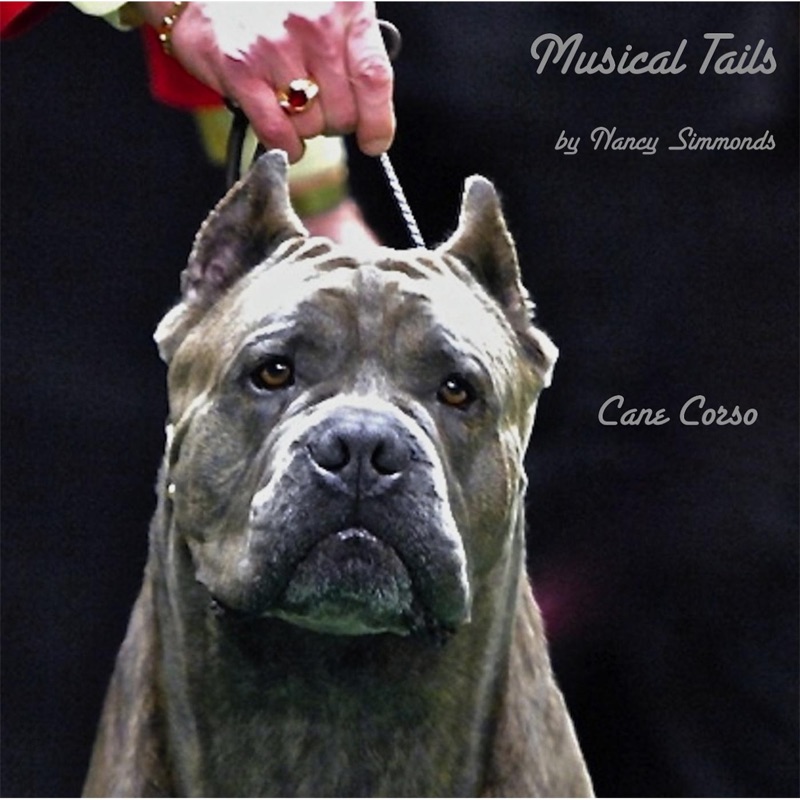 Cane Corso - Nancy Simmonds: Song Lyrics, Music Videos & Concerts