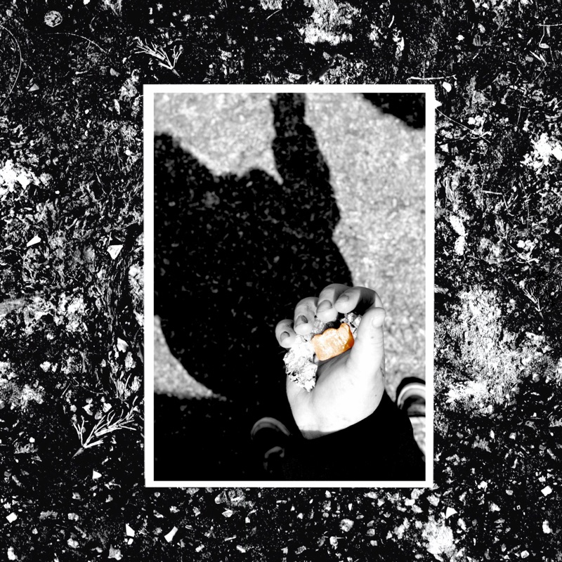 Farewell + Belly - Hazey Haze: Song Lyrics, Music Videos & Concerts