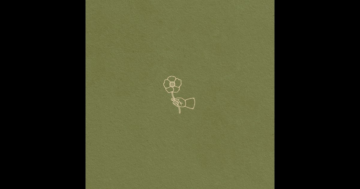 ‎Wildflower - Single - Album by Christian Hayes - Apple Music