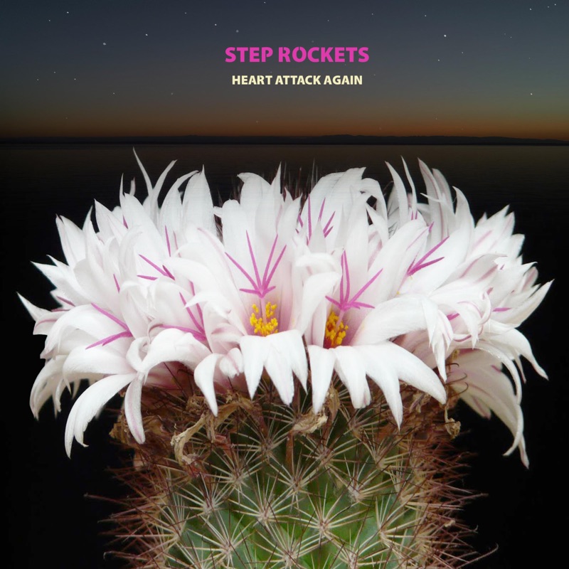 Heart Attack Again - Step Rockets: Song Lyrics, Music Videos & Concerts