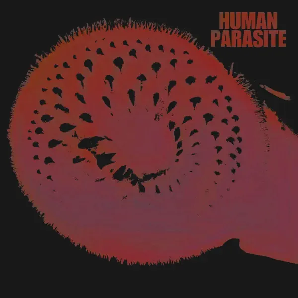 After Hour Animals - Human Parasite [single] (2025) » CORE RADIO