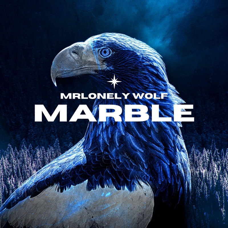 Marble - MrLONELY WOLF: Song Lyrics, Music Videos & Concerts