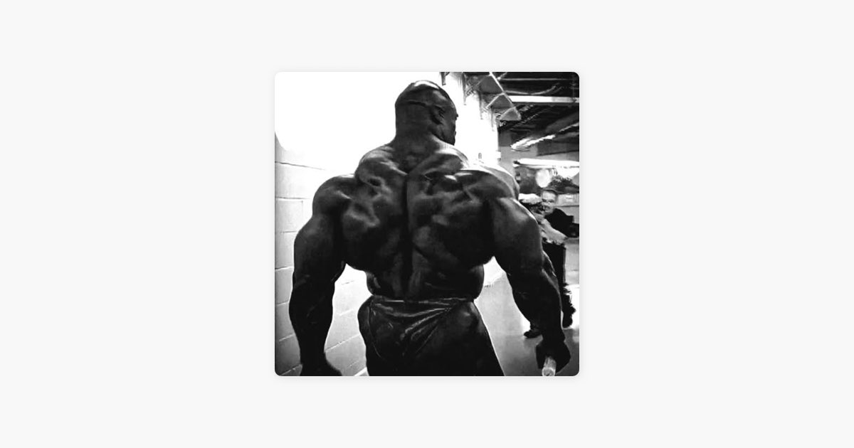 ‎Die Young (Hardstyle Slowed) – Song by nocktickvel – Apple Music