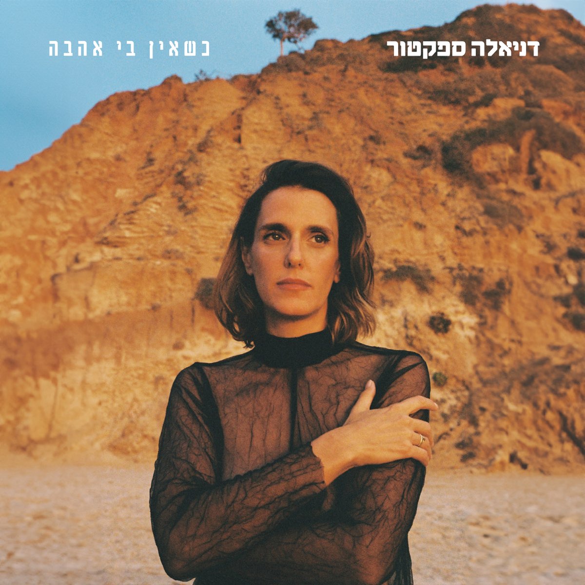 כשאין בי אהבה - Single》- דניאלה ספקטור的专辑 - Apple Music