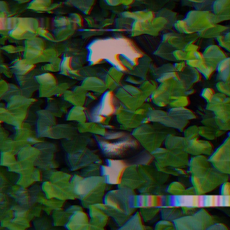 Colors - Crimson Bouquet: Song Lyrics, Music Videos & Concerts